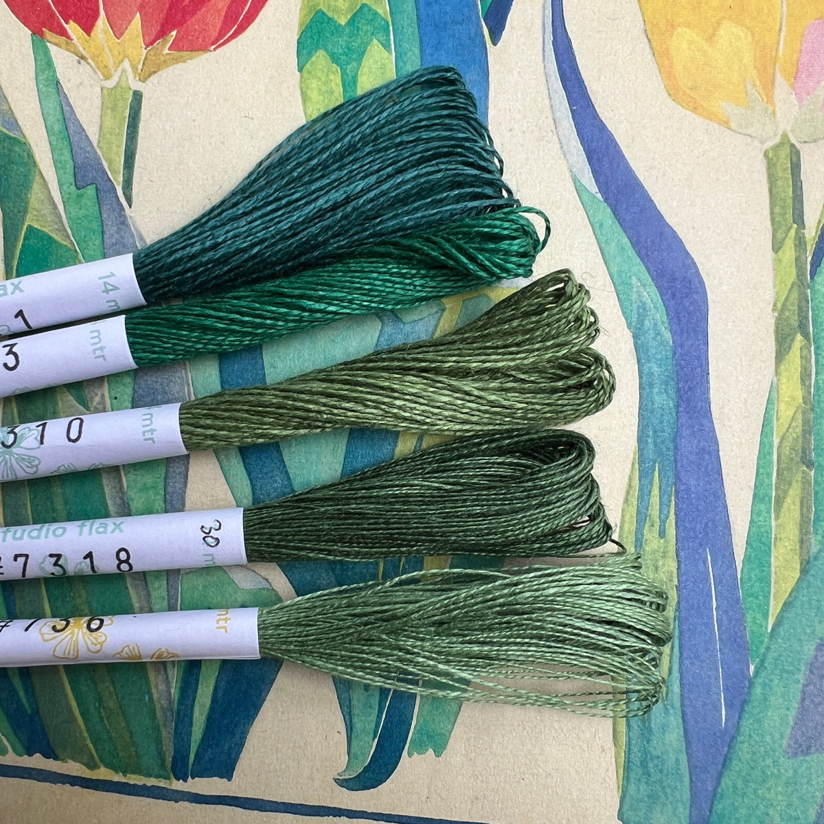 Greenery Flax Flower Box – Studio Flax